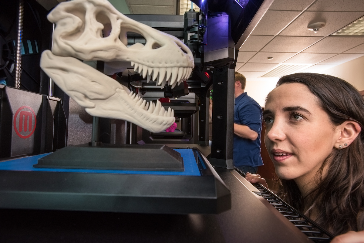 Print art, tools or computer parts at NAU’s MakerLab (VIDEO) – The NAU ...