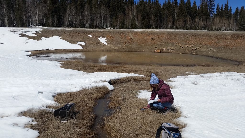 NAU environmental science student, professor publish study on Grand ...