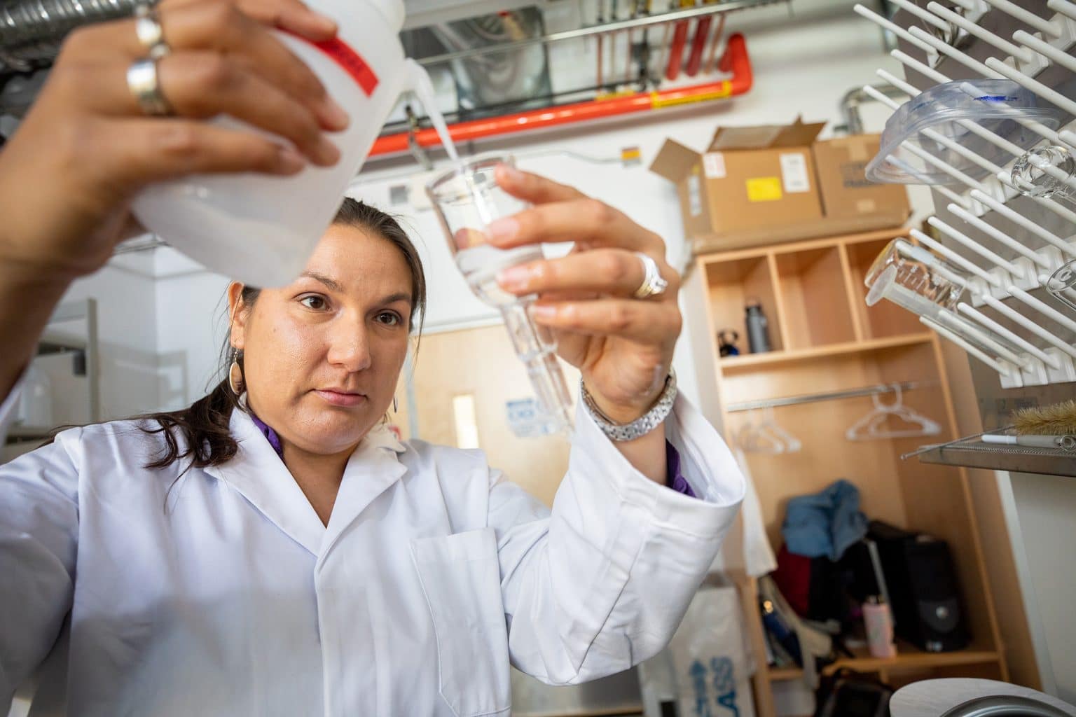 NAU professor, researcher named 2020 Emerging Scholar for dedication to ...