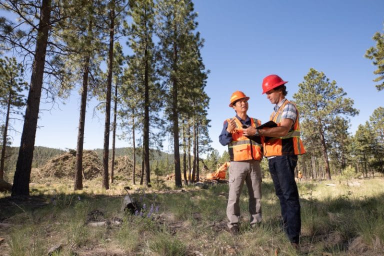 NAU forest engineer to lead collaborative team in creating jobs ...