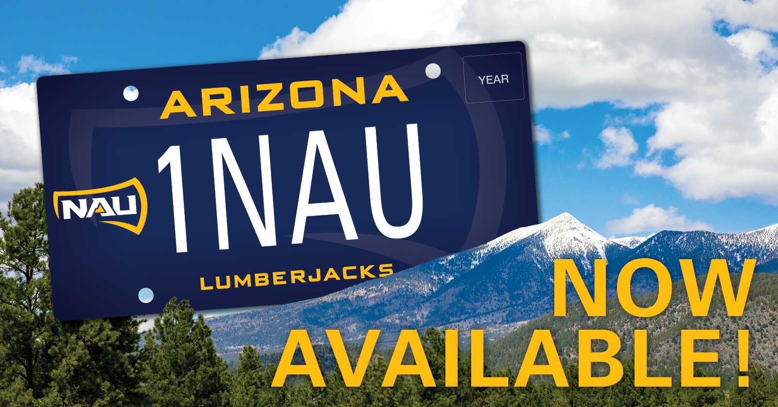 NAU on the streets: ADOT releases new NAU license plate design – The ...