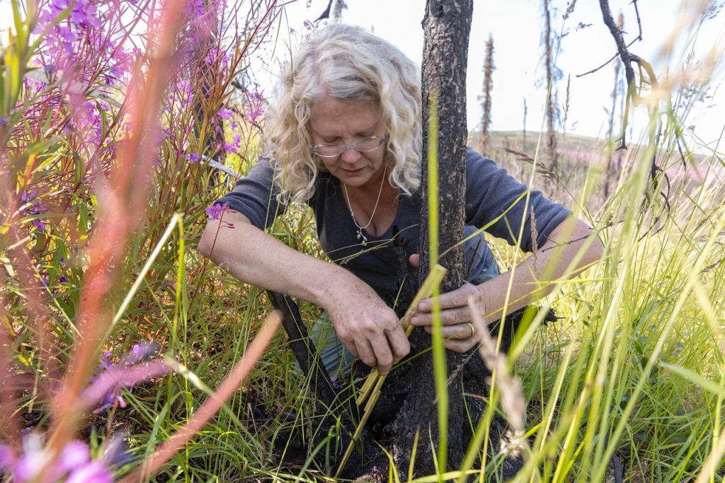 Featured Spotlight: Michelle Mack – The NAU Review