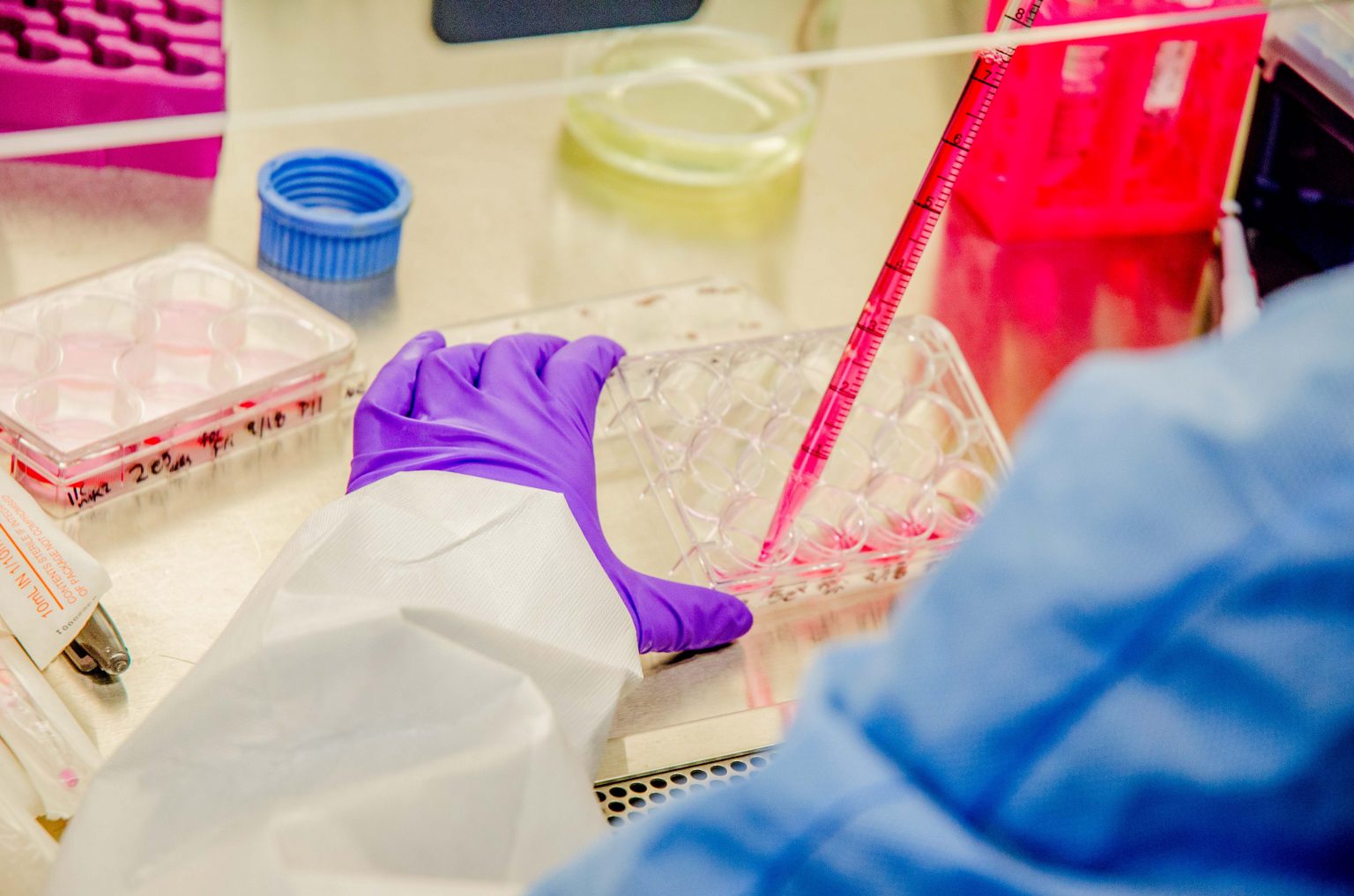 The NAU Review – The official news source for Northern Arizona University