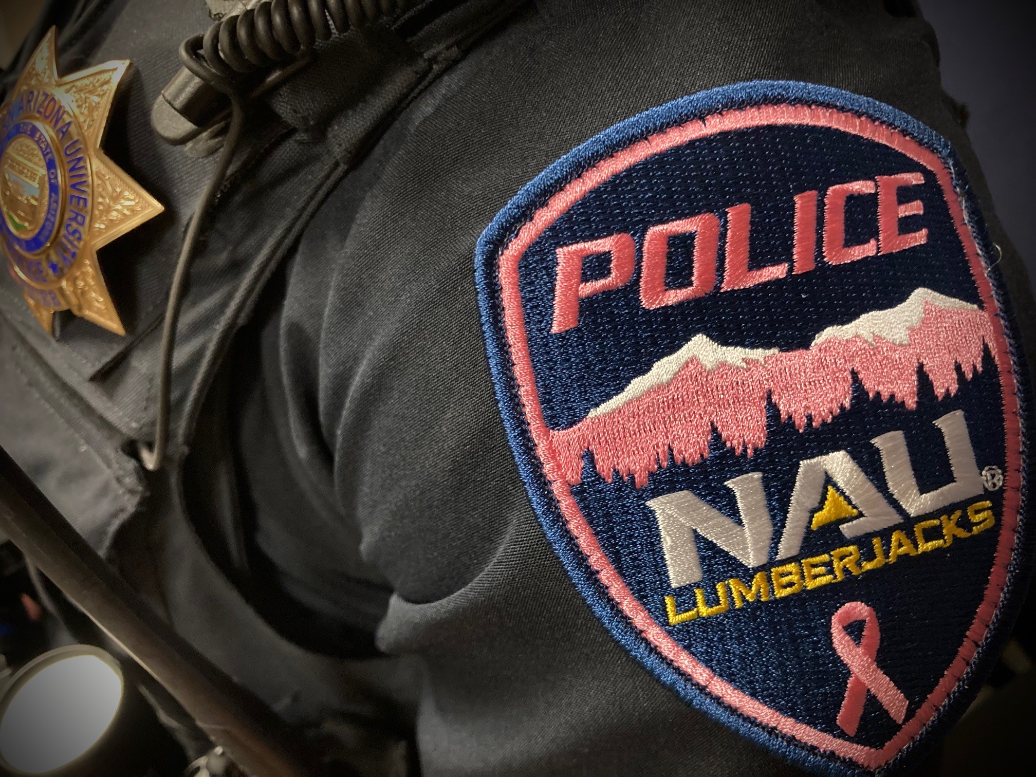 Pink Patch Project – The NAU Review