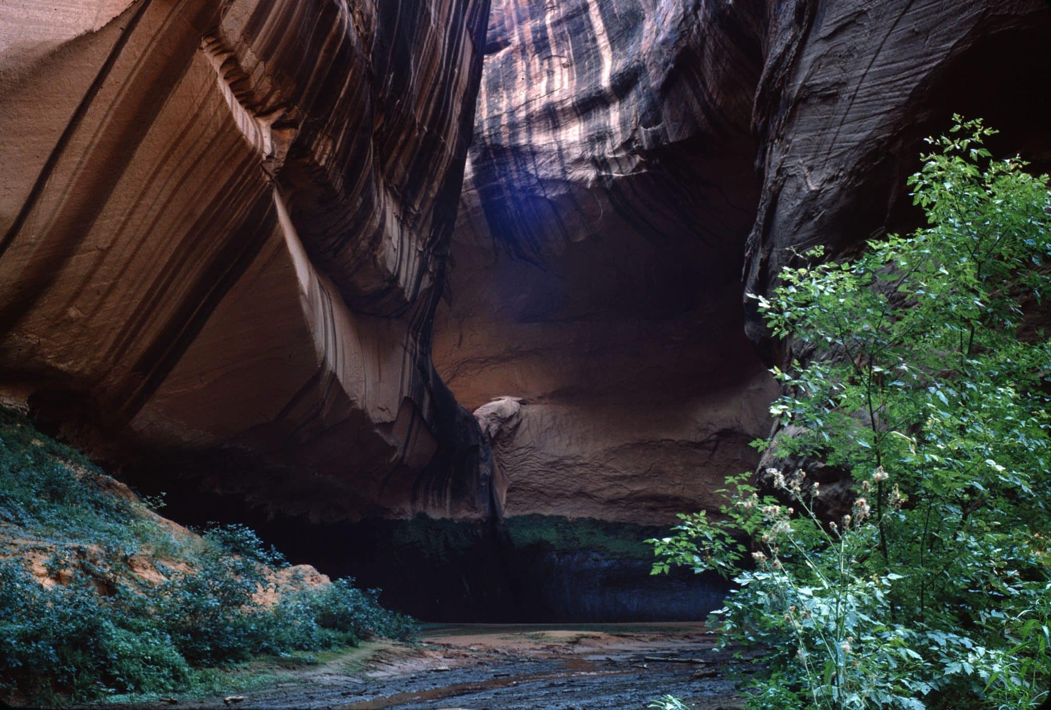 NAU exhibit showcases the lost world of Glen Canyon – The NAU Review