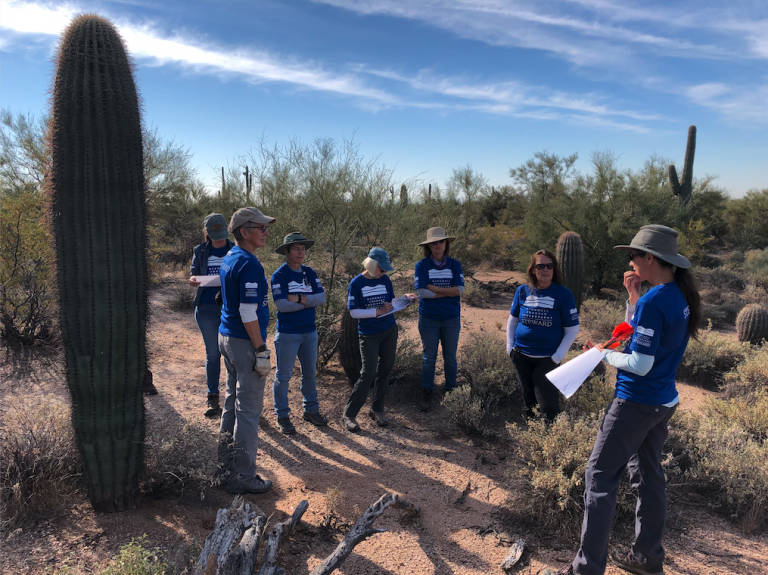 How plants, volunteers will help NAU computer model estimate fossil ...