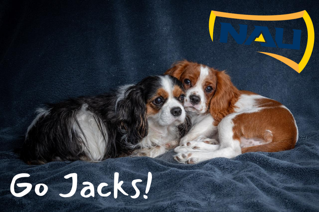 Go Jacks!—even the 4-legged, furry and feathered ones – The NAU Review