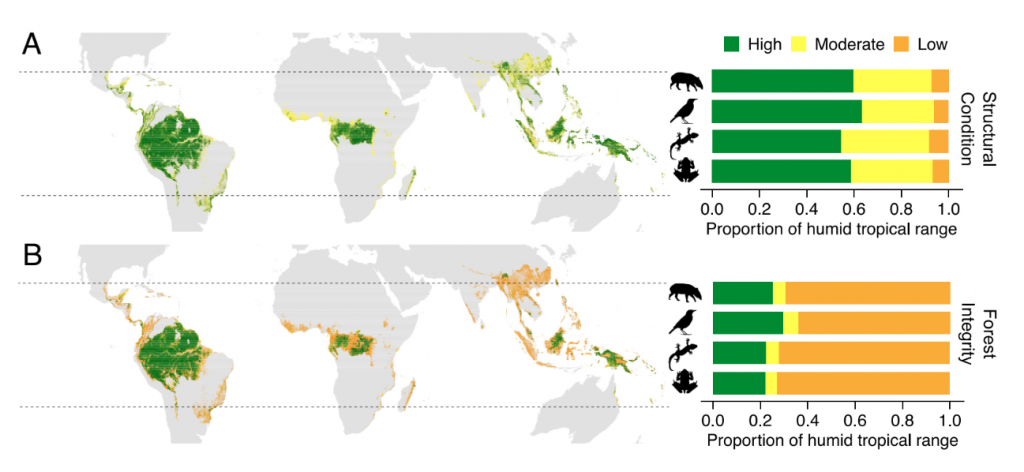 Researchers uncover a troubling trend in tropical rainforest ...
