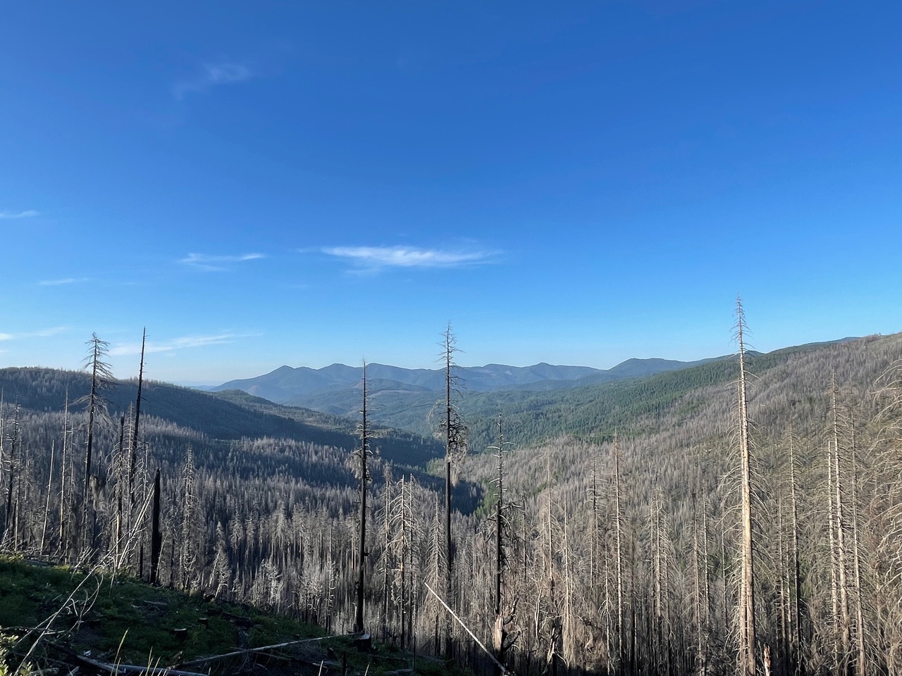 Wildland fires are unpredictable. NASA’s spaceborne lidar is helping ...