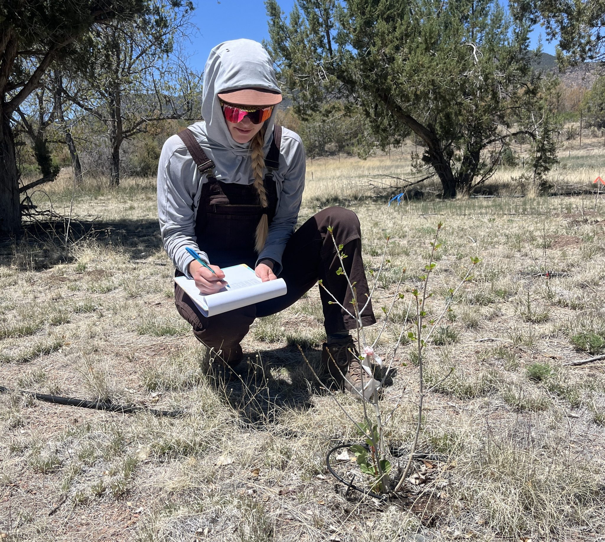 The NAU Review – The official news source for Northern Arizona University